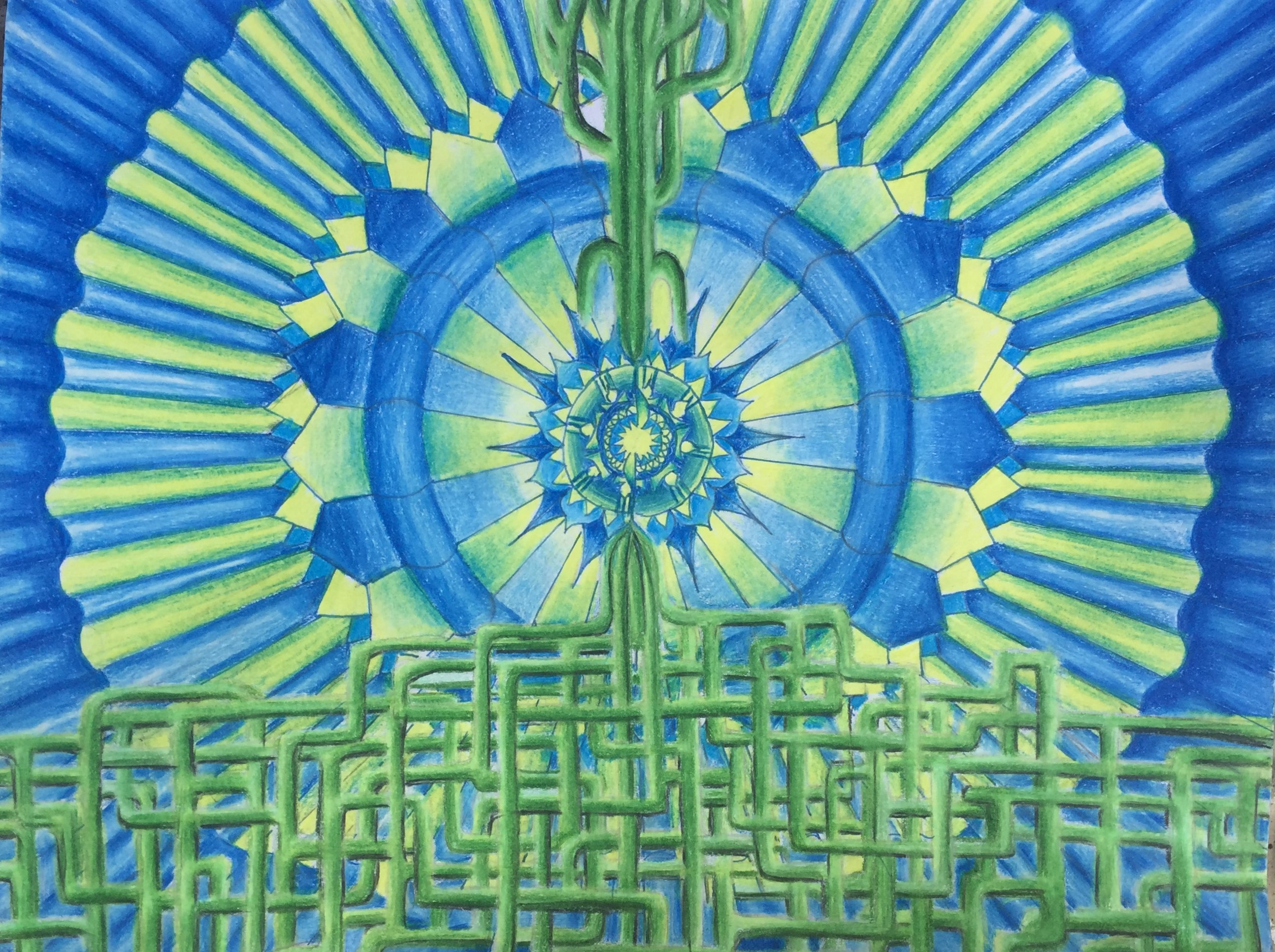 Brain Maze – Darwin Motato